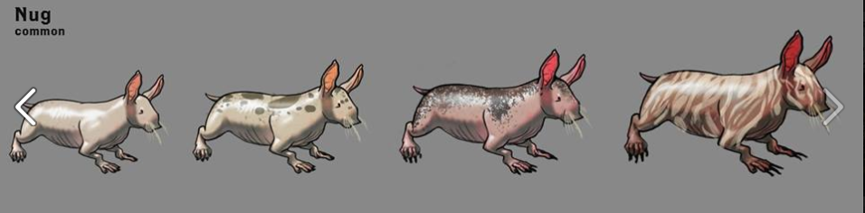 A Happy Nugsgiving For All